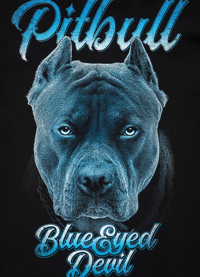 T-shirt Pit Bull BLUE EYED DEVIL 23 czarny | Męskie \ Koszulki \ T ...